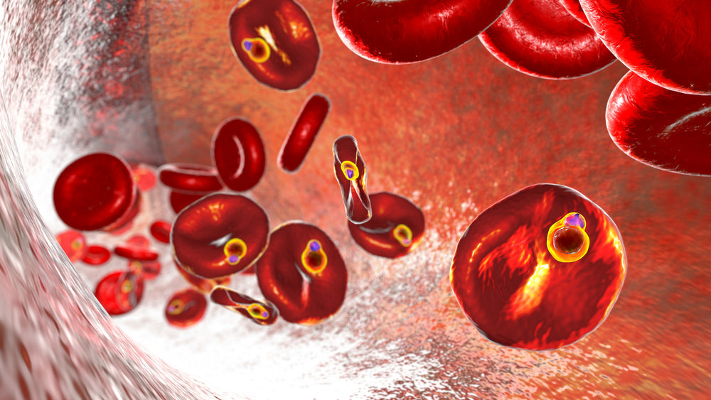 Understanding Lyme Disease Co-Infections – AcuDart Health, Inc.